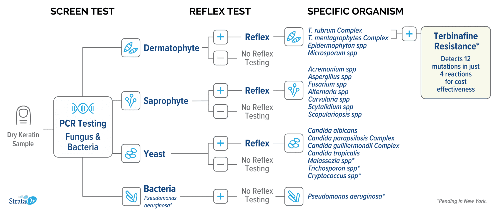 Onychodystrophy PCR Test with Terbinafine Resistance - StrataDx ...